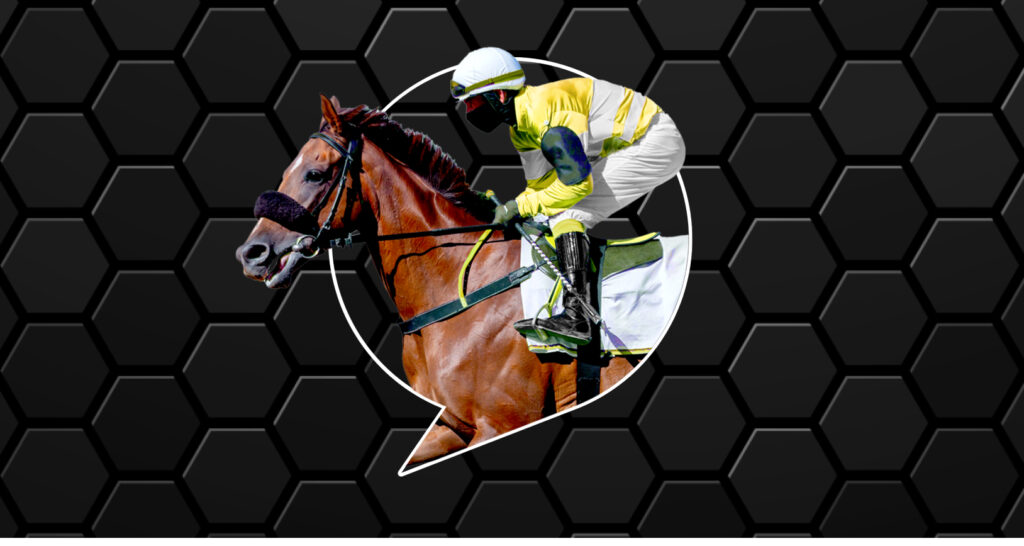 Horse Racing Terms and Jargon Explained - talkSPORT BET Blog